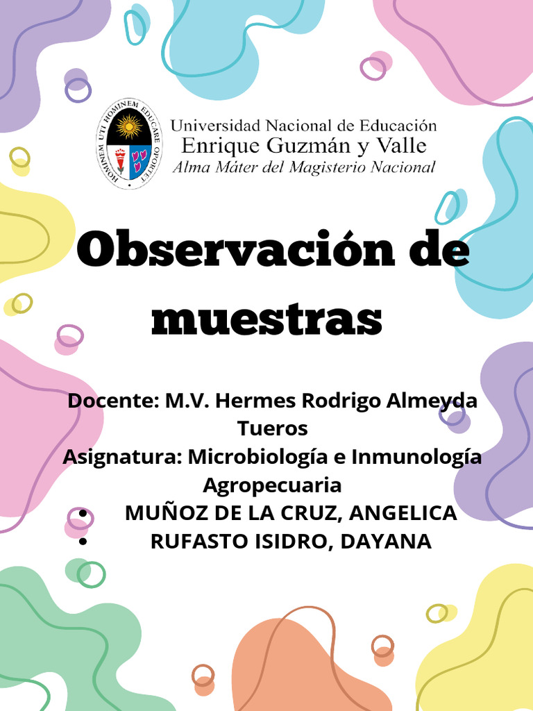 Micro Tarea 4 INFORME | PDF