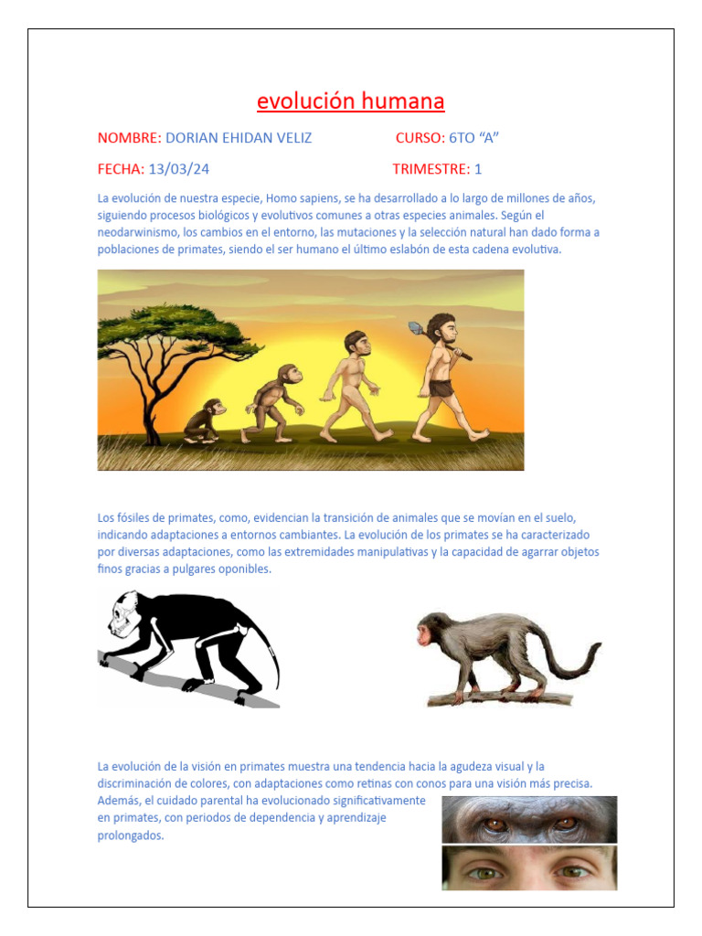 Documento Gisela | PDF | Mono | Humano