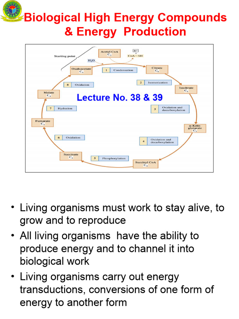 CHEM 291_Lecture 38-39 | PDF | Adenosine Triphosphate | Adenosine Diphosphate