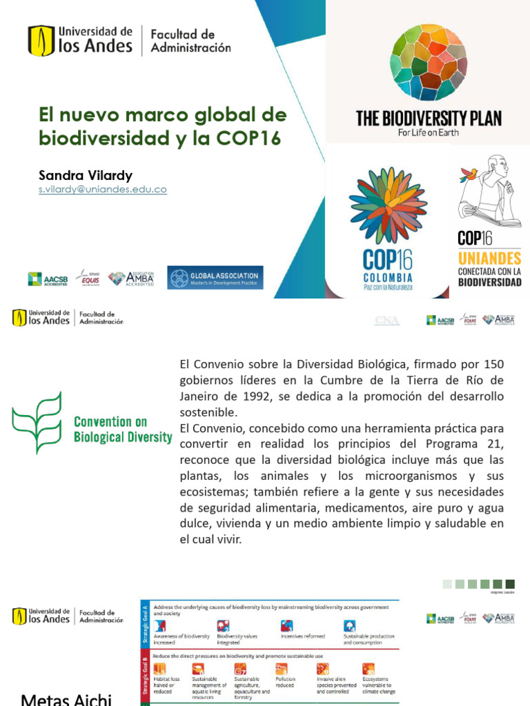 Marco Global de Biodiversidad 2023 | PDF | Biodiversidad | Entorno natural