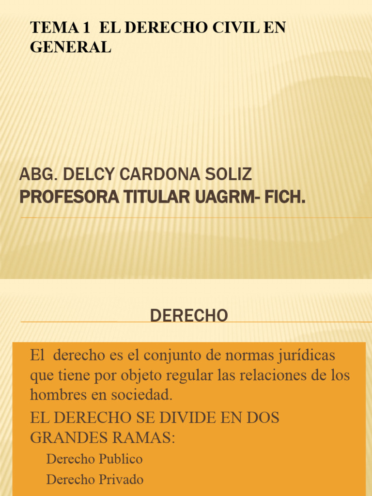 Derecho Civil Tema 1 | PDF | Derechos | Derecho Civil (Common Law)