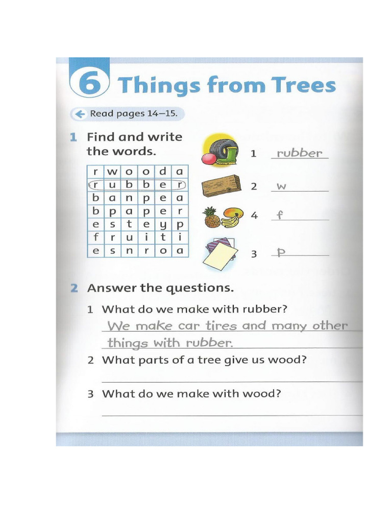 7th Grade Project 2 | PDF