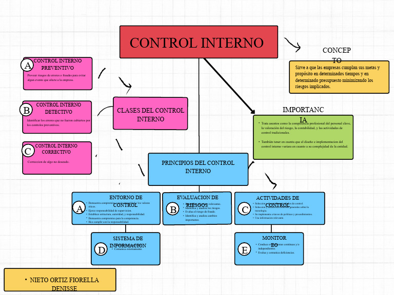 Esquema Del Control Interno | PDF