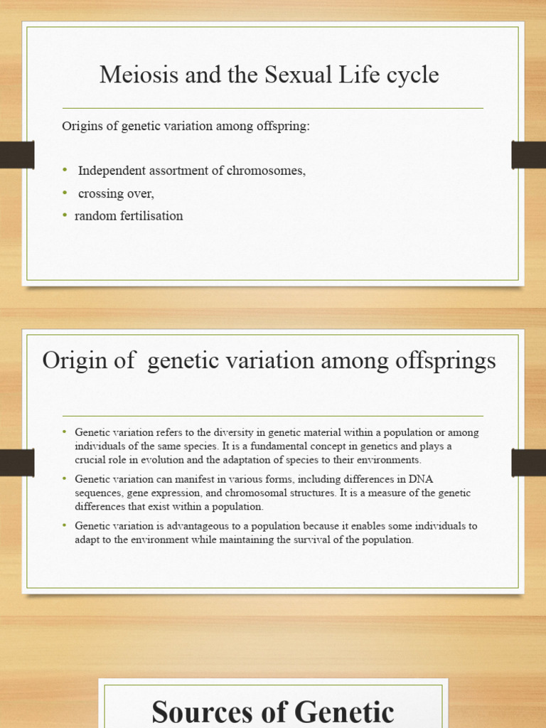 Genetic Variation in Meiosis Explained | PDF | Genetics | Meiosis