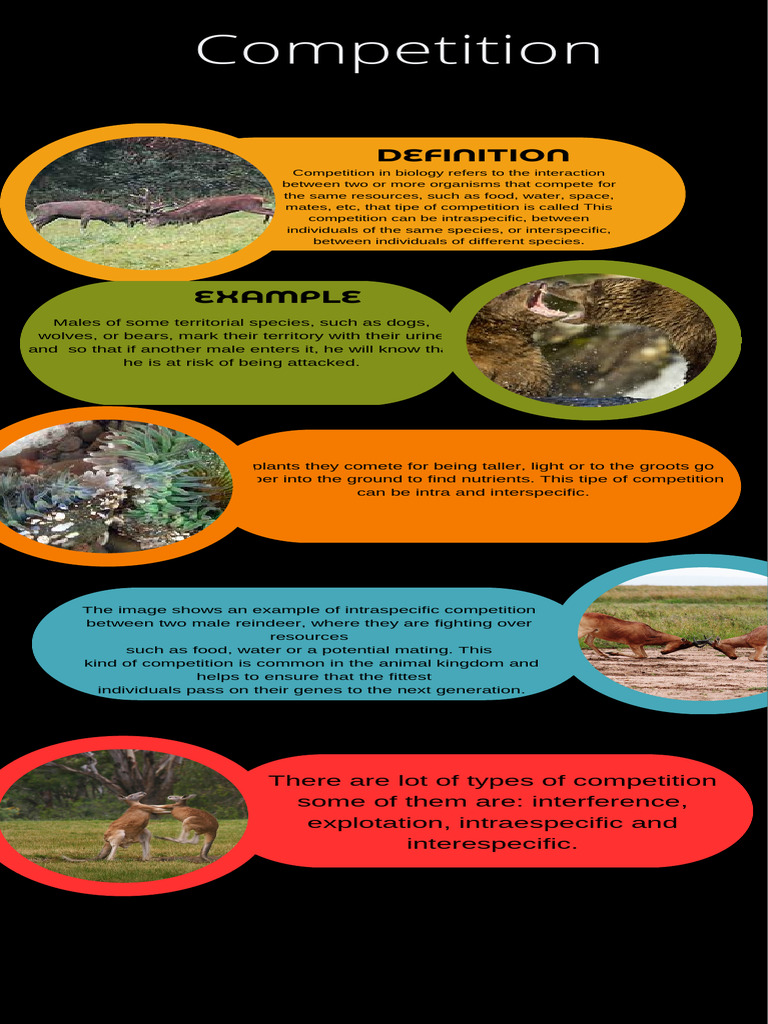 Competition in Biology: Definitions & Examples | PDF | Wellness ...