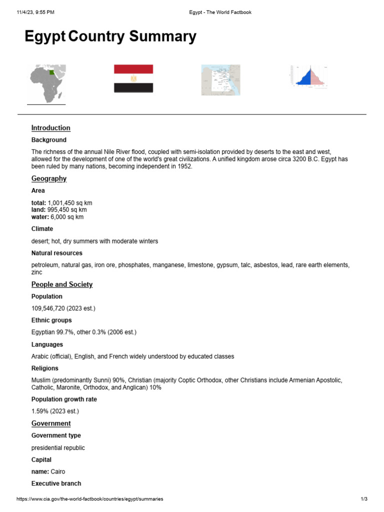 Egypt Overview - CIA World Factbook | PDF | Egypt | Petroleum