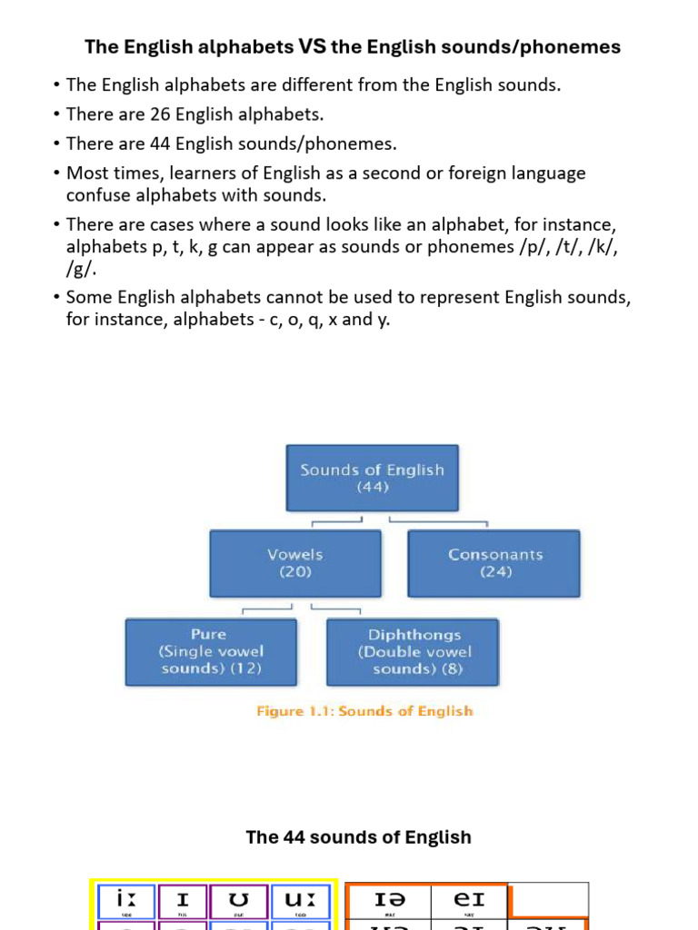 English Sounds and Phoneme Patterns | PDF | Word | Stress (Linguistics)