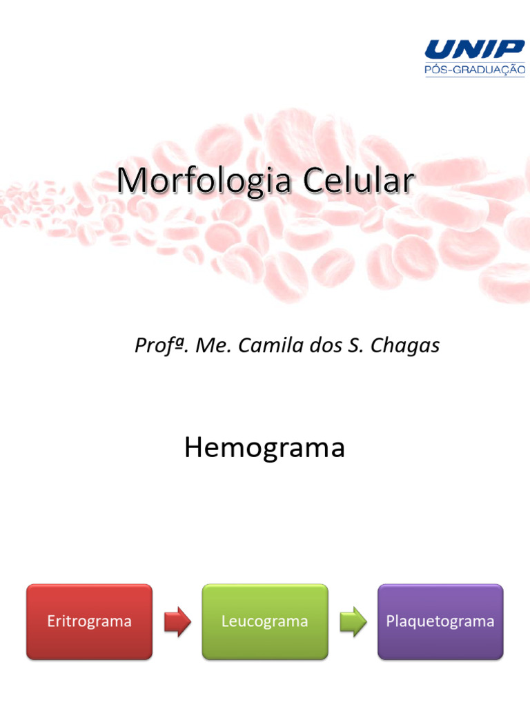 Aula 2 - Morfologia Celular | PDF | Anemia | Hemácia