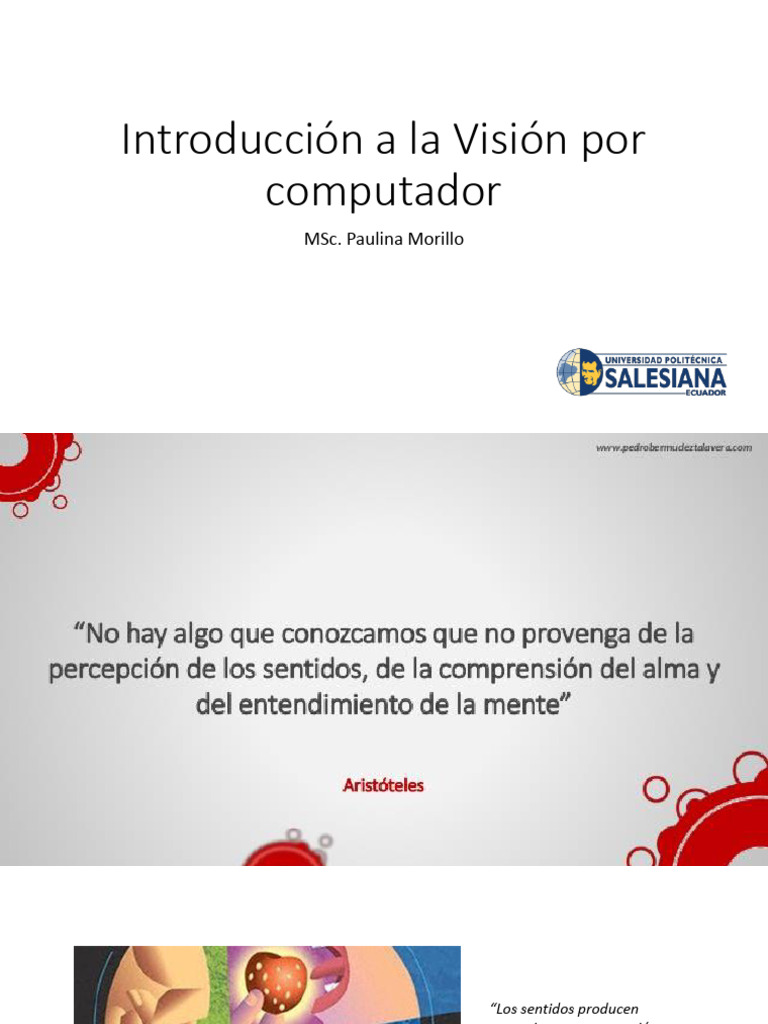 Introducción a la Visión por computador | PDF | Percepción visual | Visión por computador