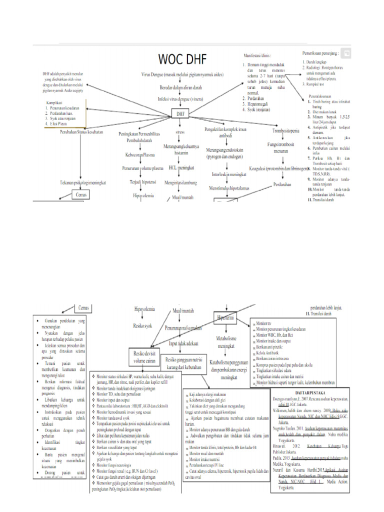 Woc DHF Dan Post Partum | PDF