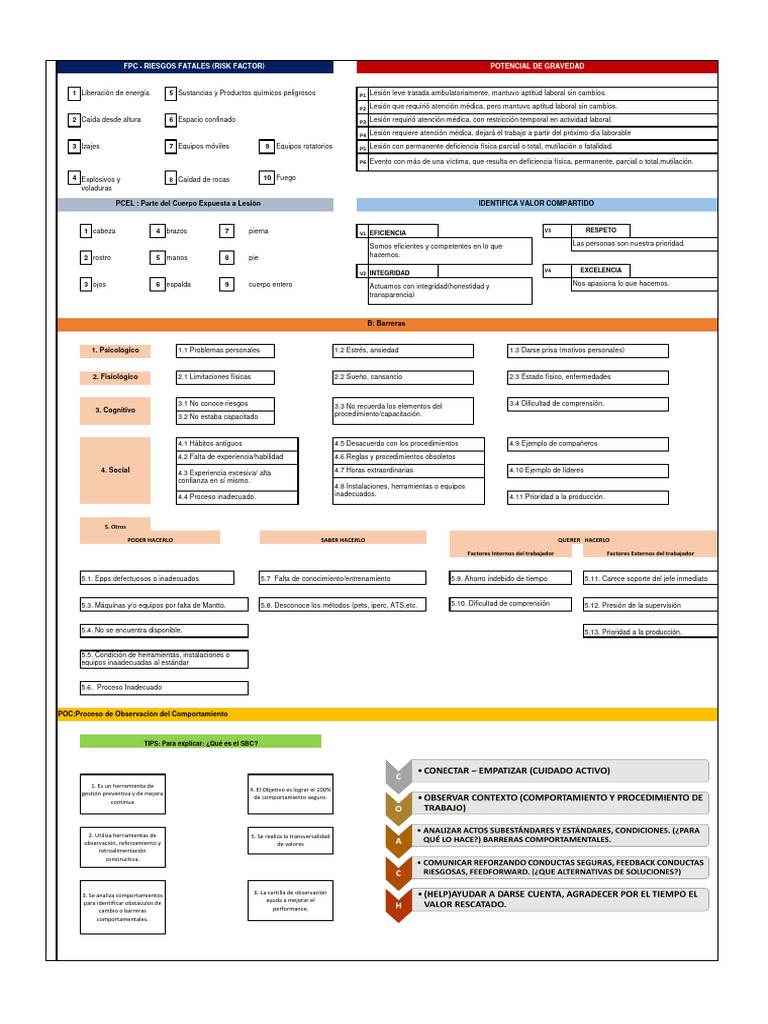 Cartillas de Observación STRACON - ENTREGABLE 2 | PDF | Ciencias del comportamiento | Sicología
