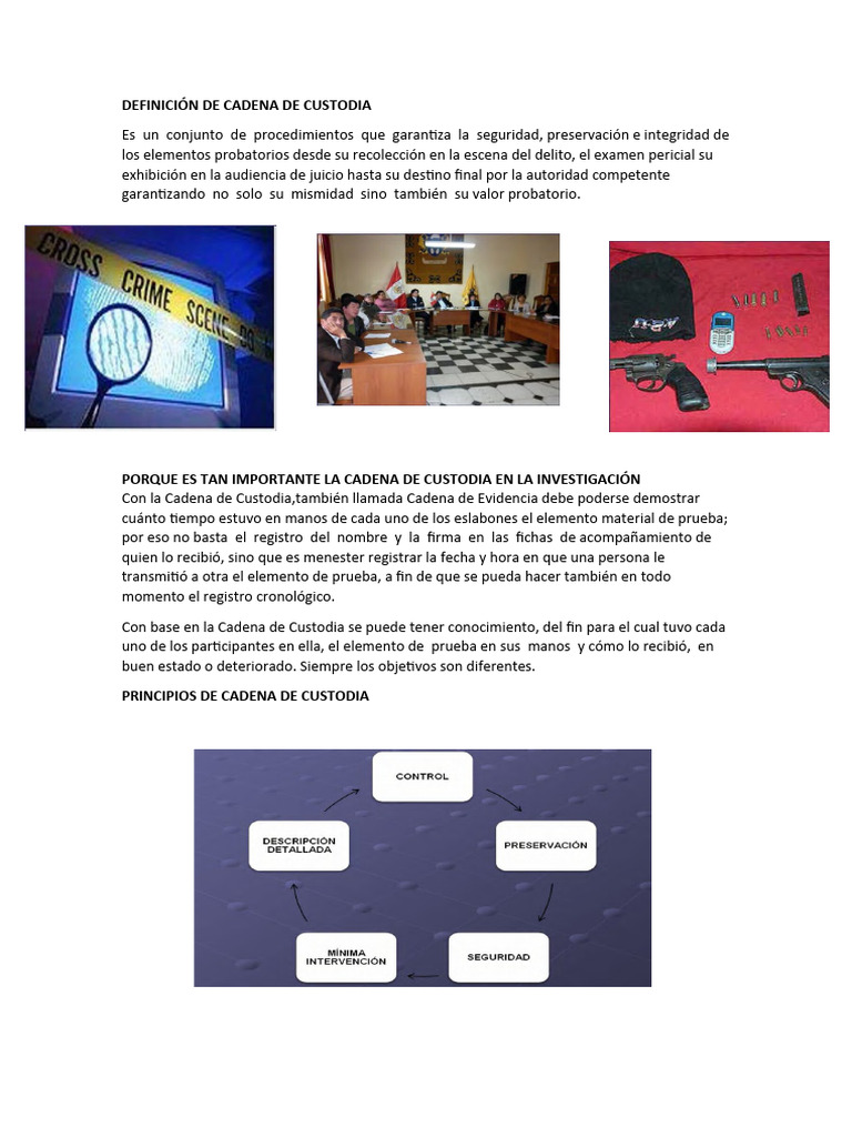 Definición de Cadena de Custodia | PDF