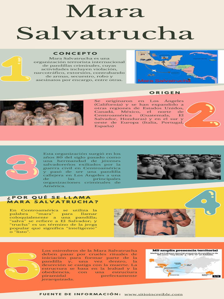 Mara Salvatrucha | PDF