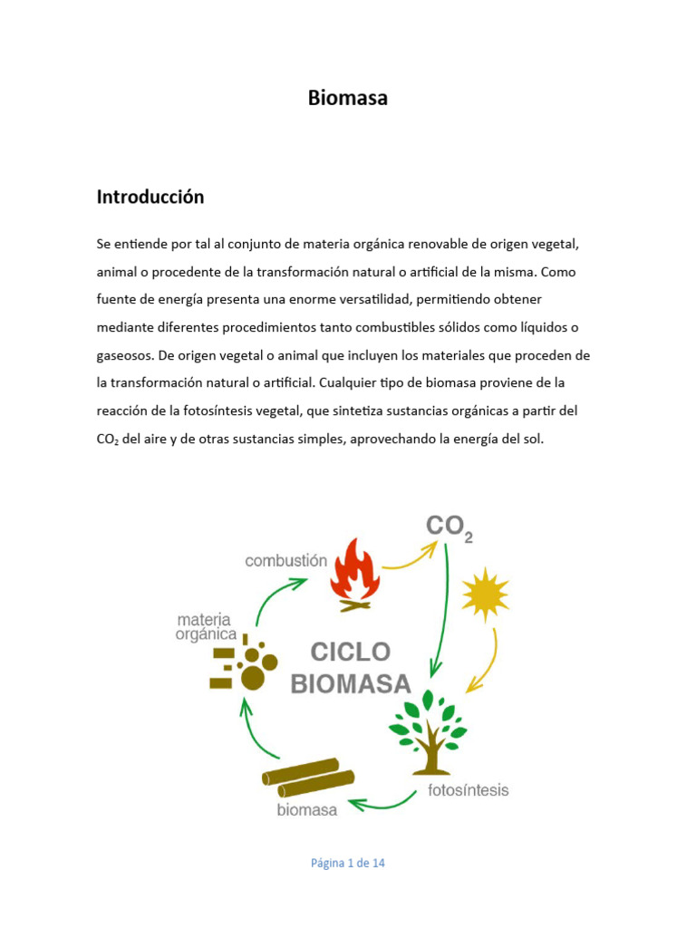 TP Final - Biomasa | PDF | Biomasa | Combustión
