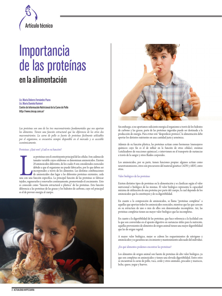 Proteínas: Clave en la Dieta y Salud | PDF | Proteínas | Alimentos