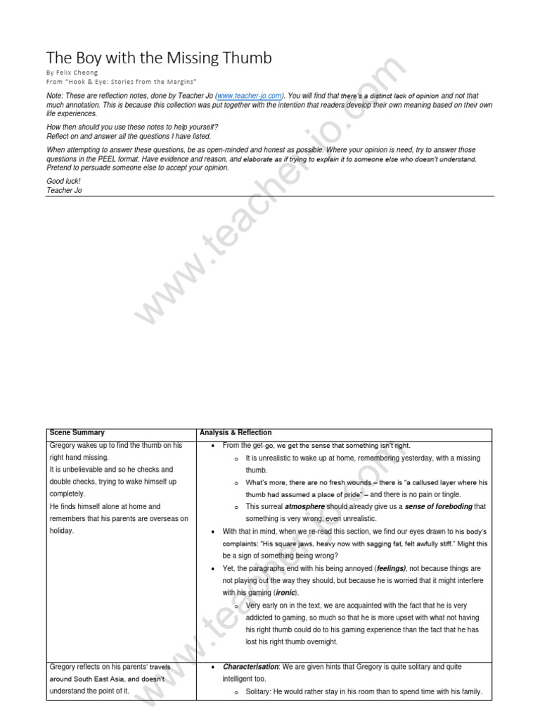 Hook and Eye The Boy With The Missing Thumb Notes | PDF