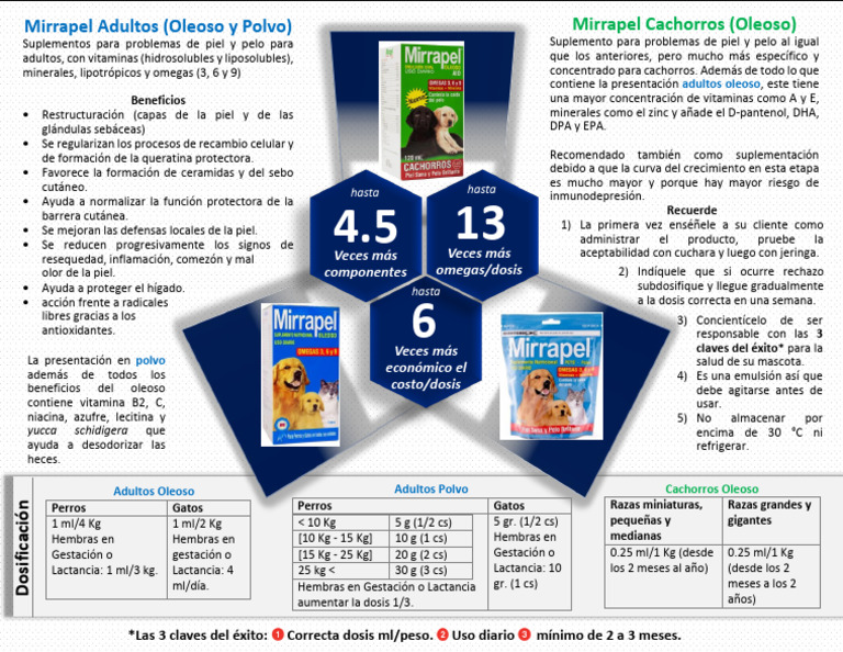 Mirrapel Infografia | PDF | Piel | Vitamina