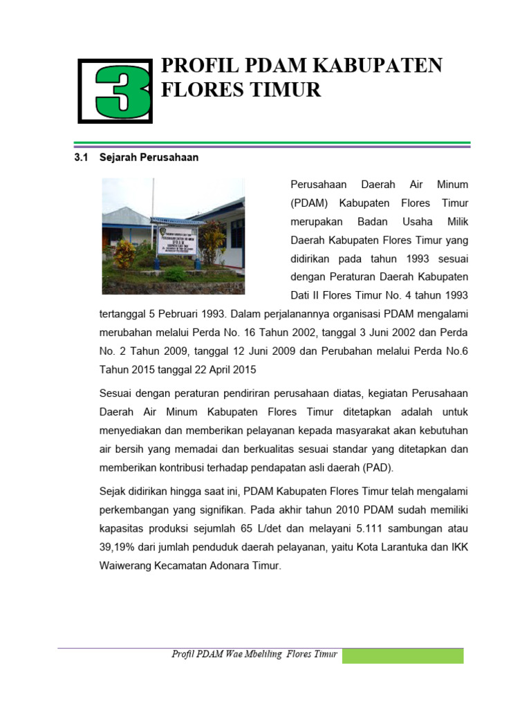 BAB III - PROFIL PDAM-Flotim | PDF