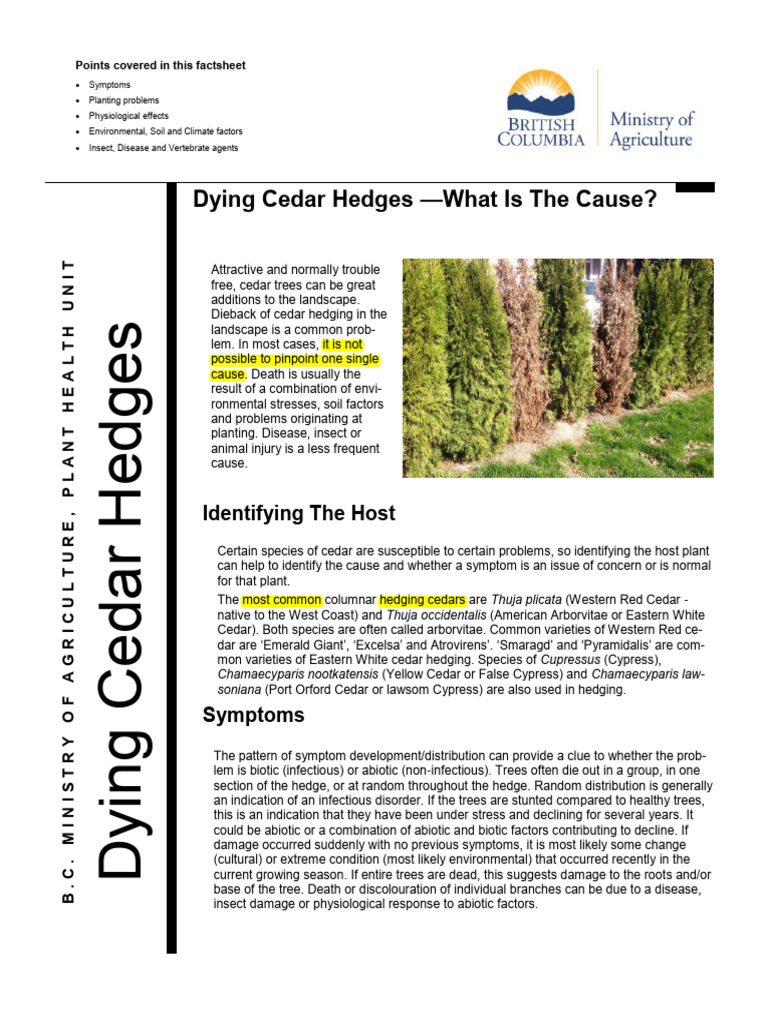 Dying-Cedar-Hedges - Minister of Agriculture-BC-Canada | PDF | Plants ...