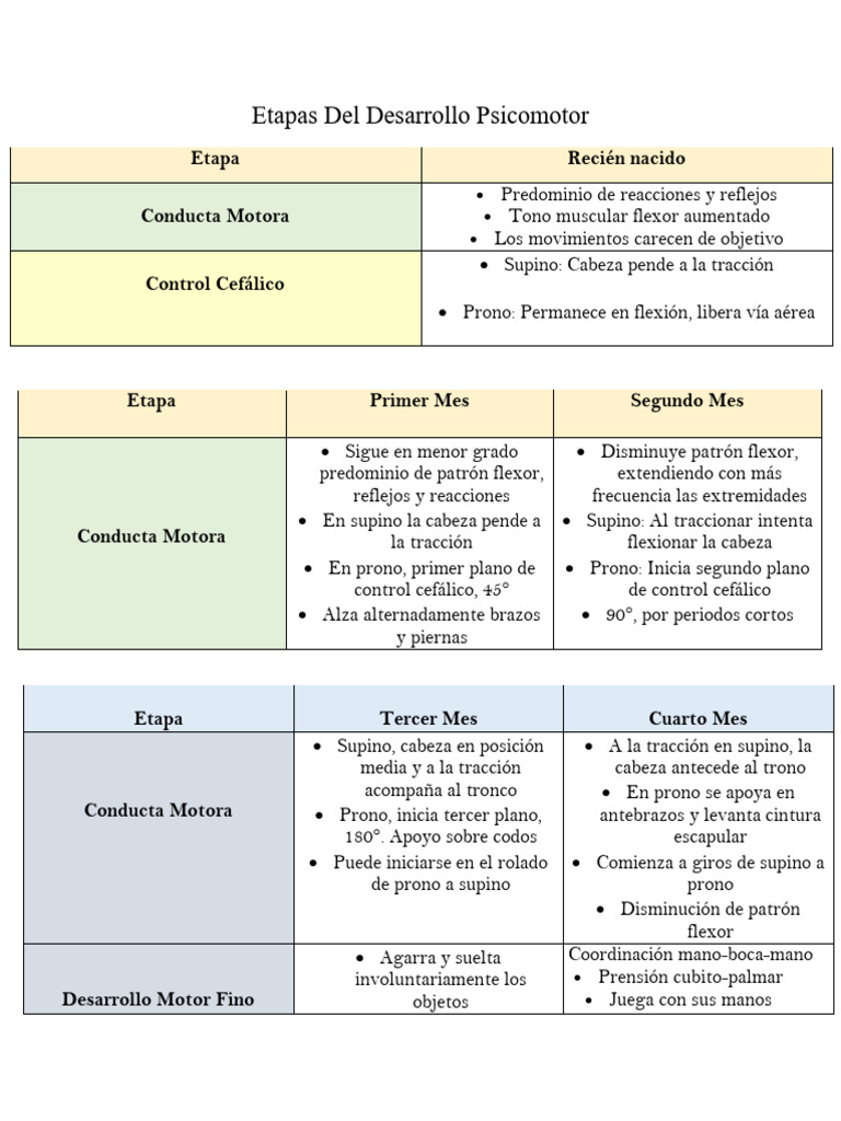 Desarrollo Psicomotor Infantil | PDF | Mano