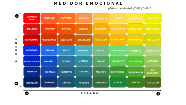 MEDIDOR EMOCIONAL | PDF