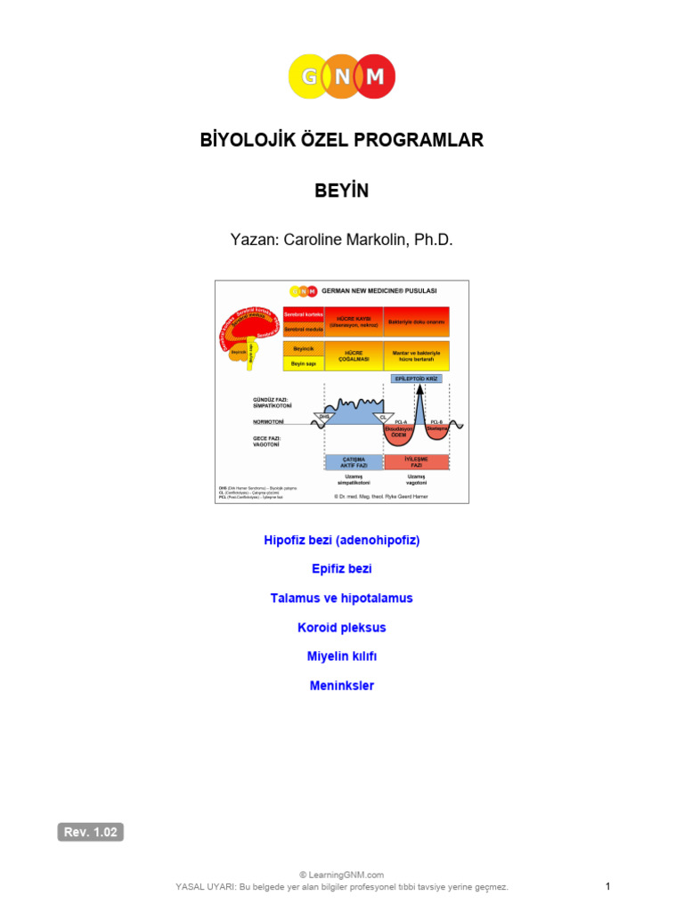 Brain TK | PDF