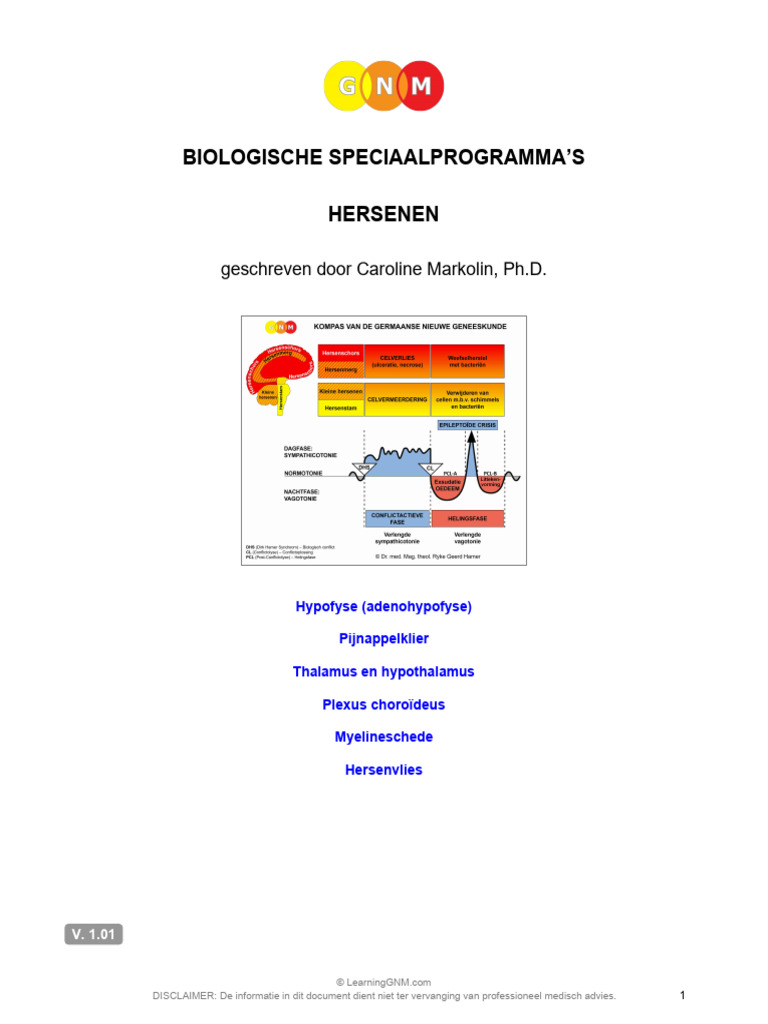 Brain DU | PDF