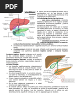 Anatomía y Clasificación del Colédoco | PDF | Vesícula biliar ...