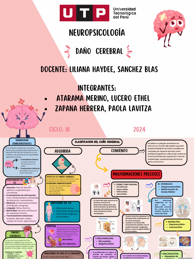 Daño Cerebral S05 | PDF | Cerebro | Cáncer
