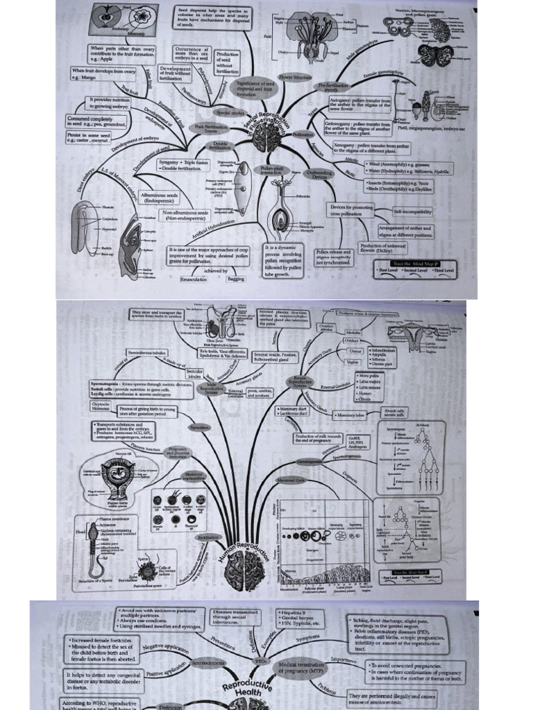All BIOLOGY - Chapterwise MINDMAP - CLASS 12 BOARD EXAM | PDF