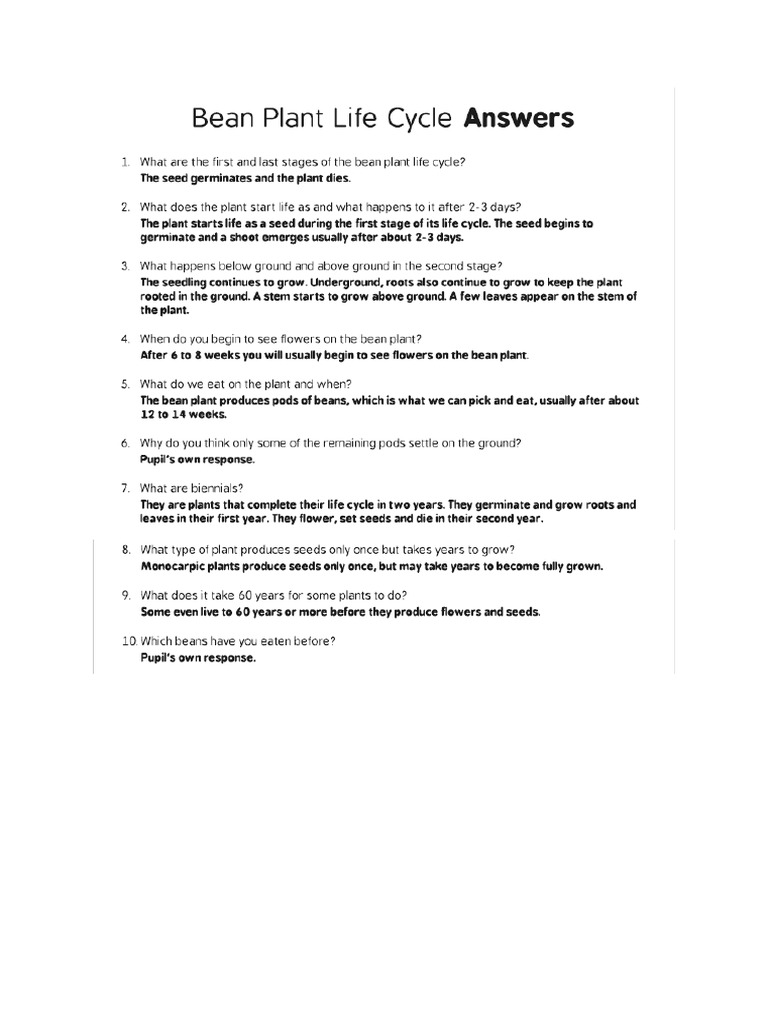 Bean Plant Life Cycle Answers | PDF