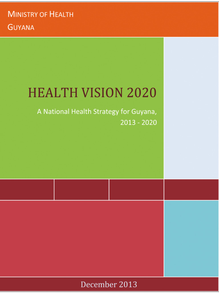 Guy HealthVision 2020 Final 19dec.13 | PDF | Millennium Development ...