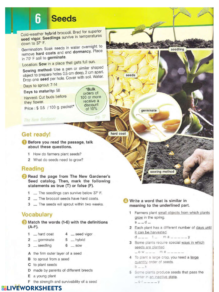 SEEDS WORK SHEET 2 | PDF