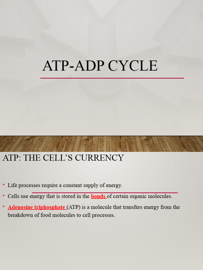 ATP PPT | PDF | Adenosine Diphosphate | Adenosine Triphosphate