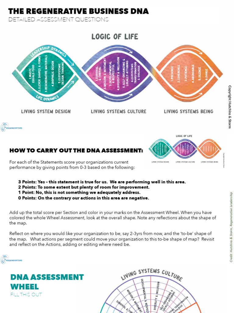 Capital Institute - Laura Storm - REGENERATIVE DNA ASSESSMENT QUESTIONS ...