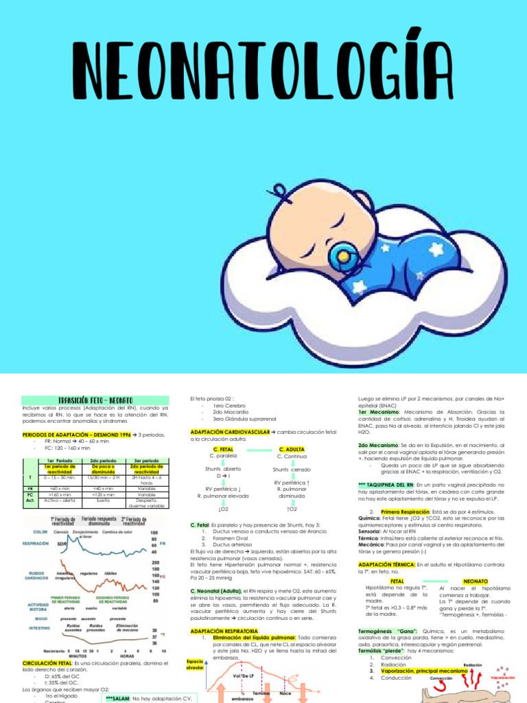 Adaptación Neonatal: Proceso y Evaluación | PDF | Tiroides | Feto