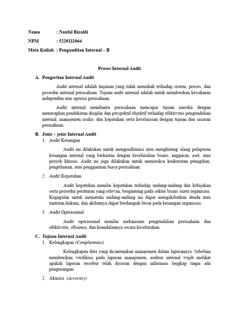 Proses dan Tujuan Audit Internal | PDF