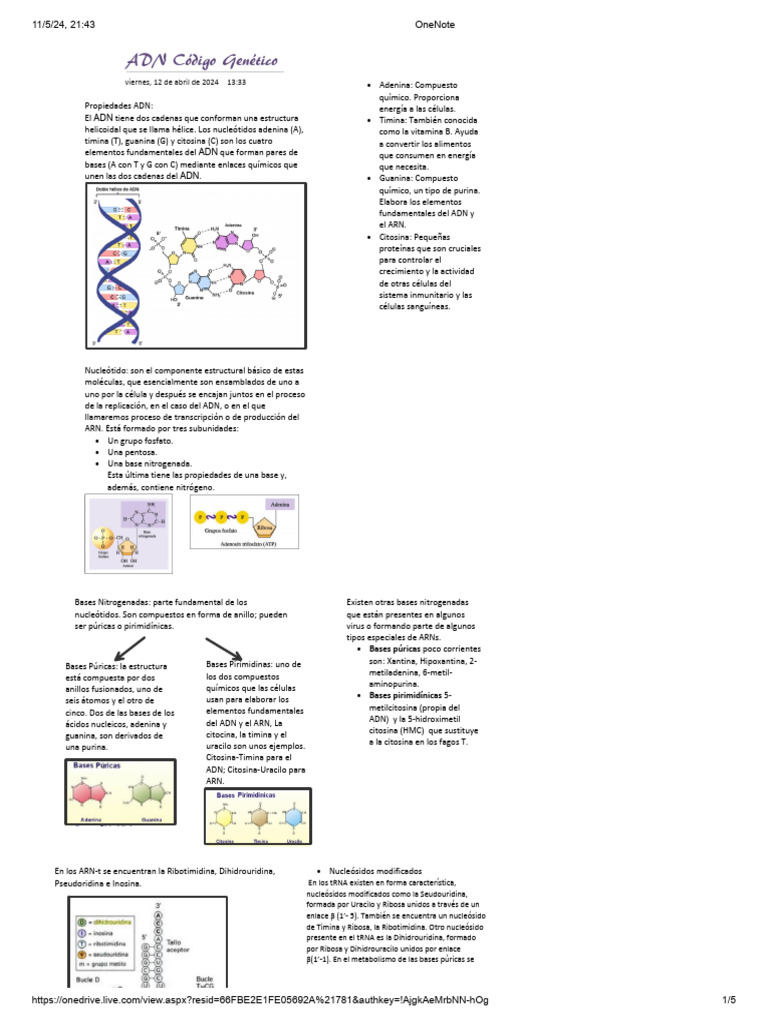 ADN Codigo Genetico | Descargar gratis PDF | Adn | Nucleótidos