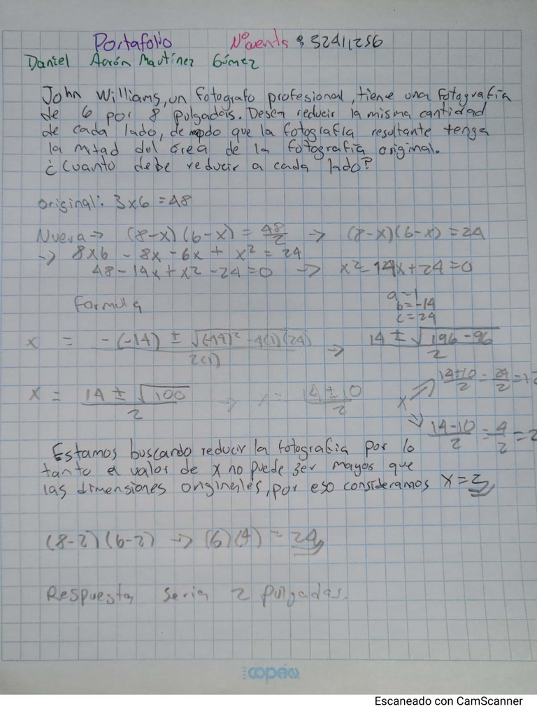 Portafolio Daniel Martínez | PDF