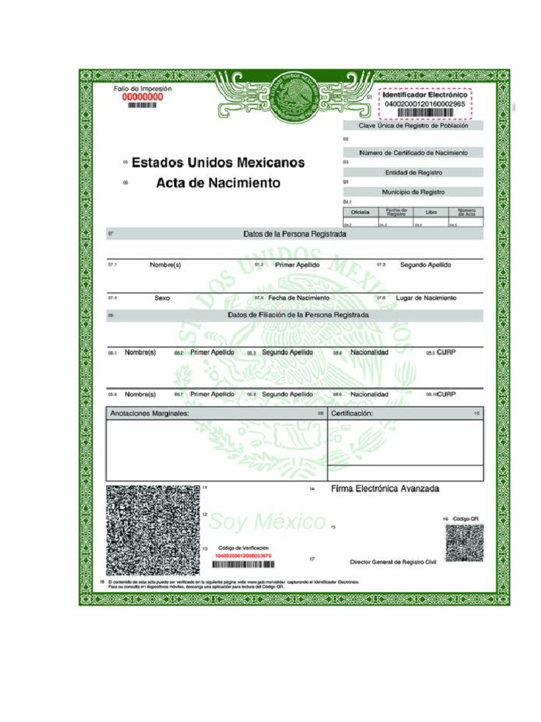 Acta de Nacimiento Formato | PDF