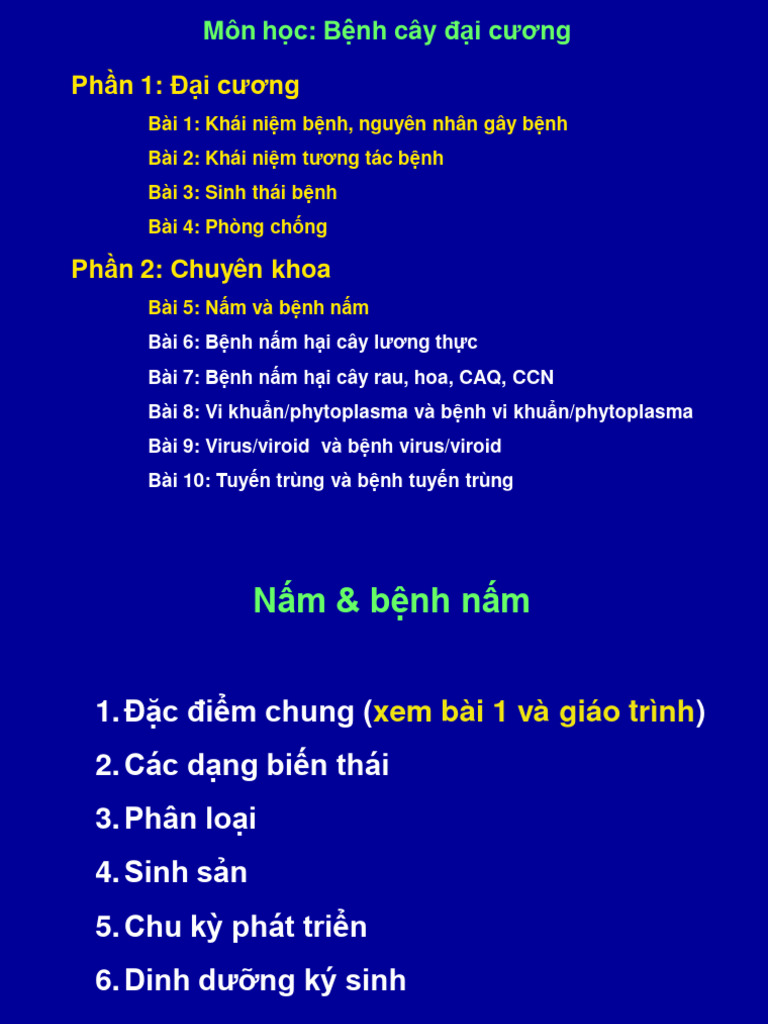 BENH CAY NONG NGHIEP Bài 5 1 NẤM đại cương | PDF