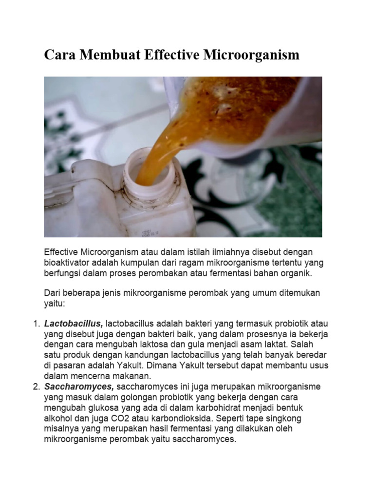 Cara Buat Effective Microorganism | PDF | Kesehatan Holistik | Sains ...