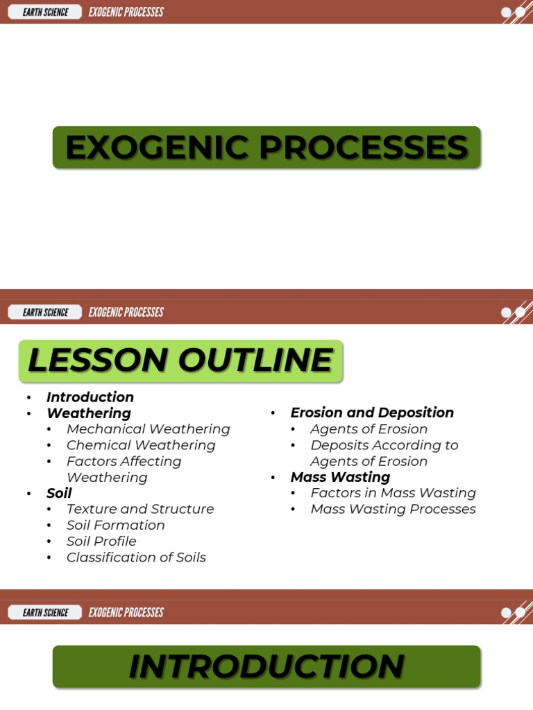 Exogenic Processes | PDF | Weathering | Rock (Geology)