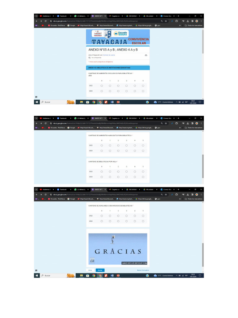 PARA EL ANEXO 4A y 4B | PDF
