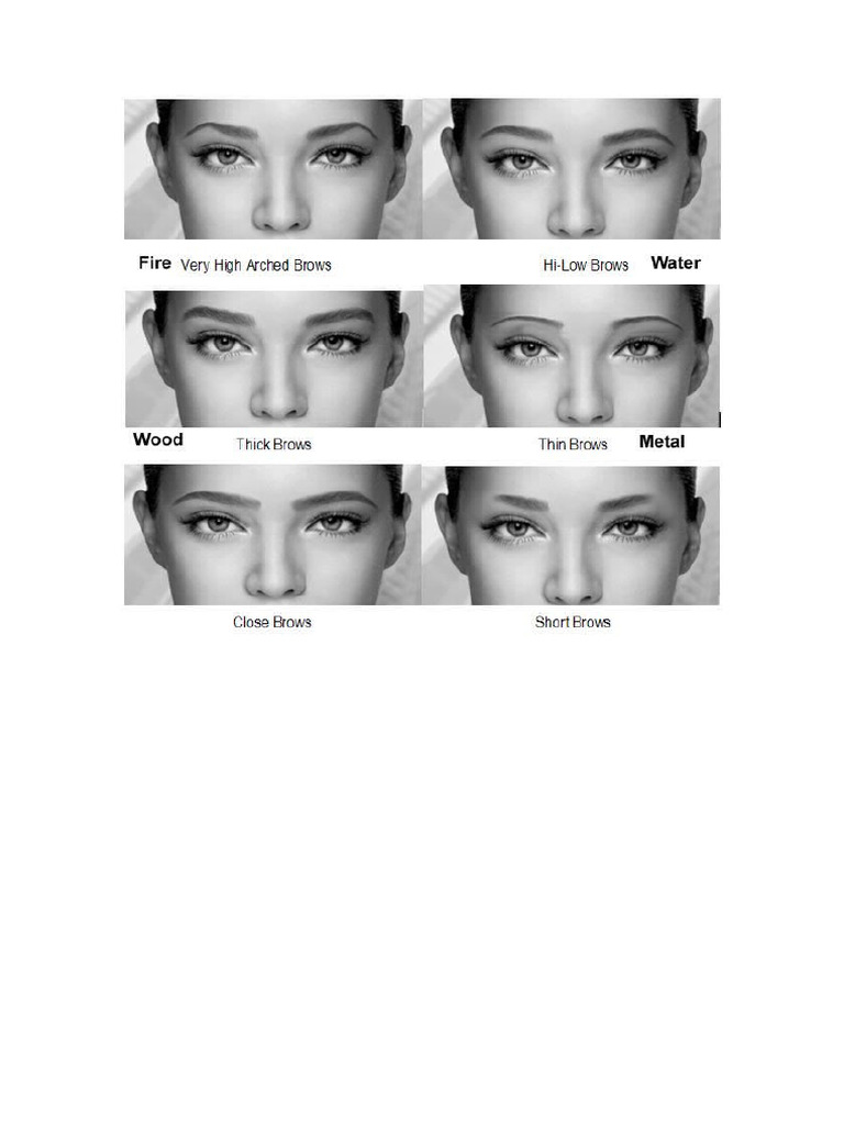 Adjectives Eyebrows | PDF