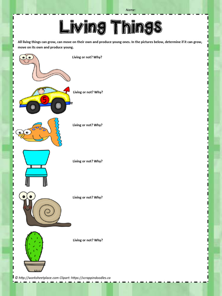 Living vs. Non-Living Things Worksheet | PDF