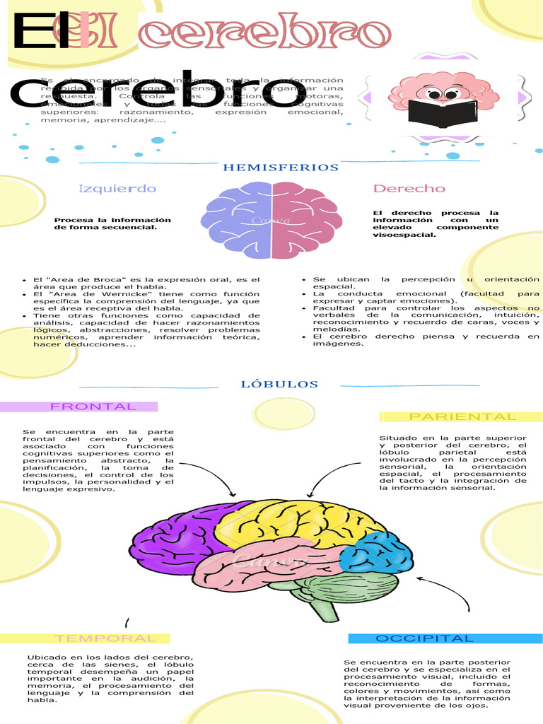 Infografia Cerebro Pdf Cerebro Las Emociones