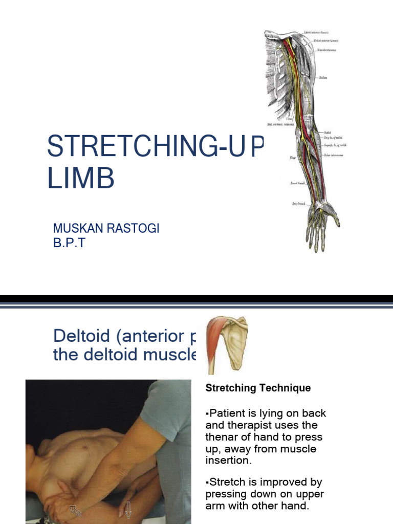 Stretching Upperlimb 220424140214 | PDF | Thumb | Anatomical Terms Of ...