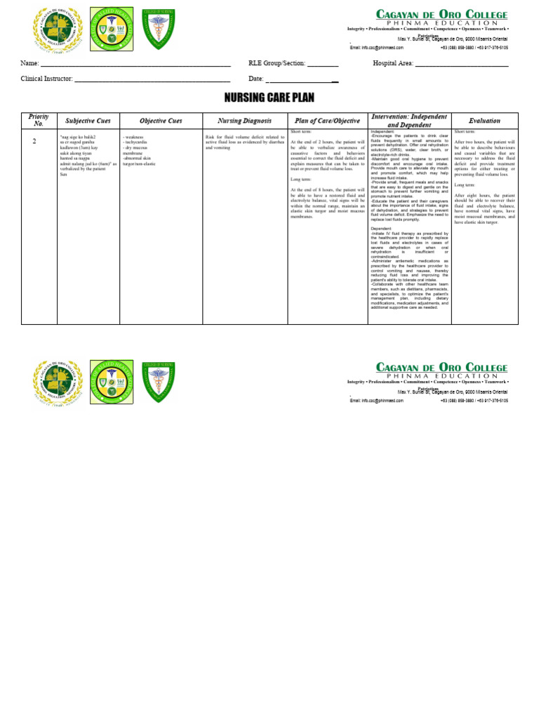 Nursing Care Plan 1 | PDF | Dehydration | Clinical Medicine