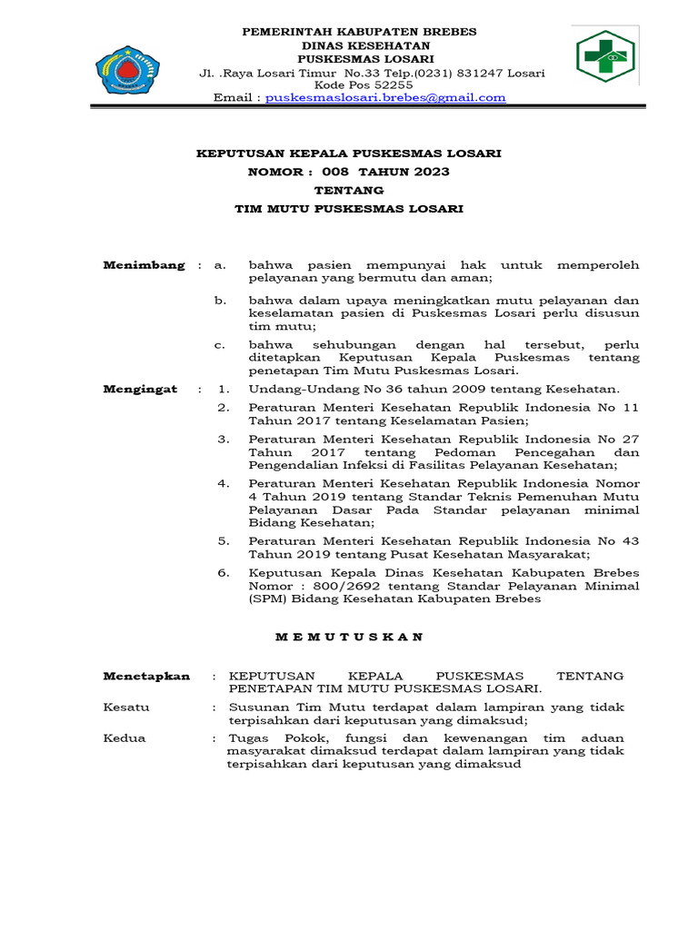 5.1.1.1 SK TIM MUTU Dan PROGRAM MUTU | PDF